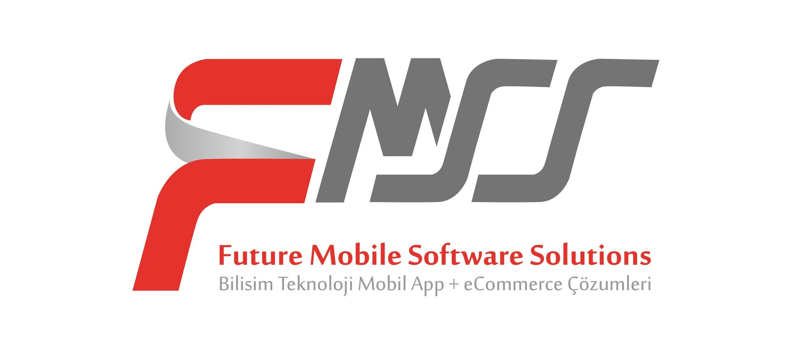 FMSS Bilişim | Patika