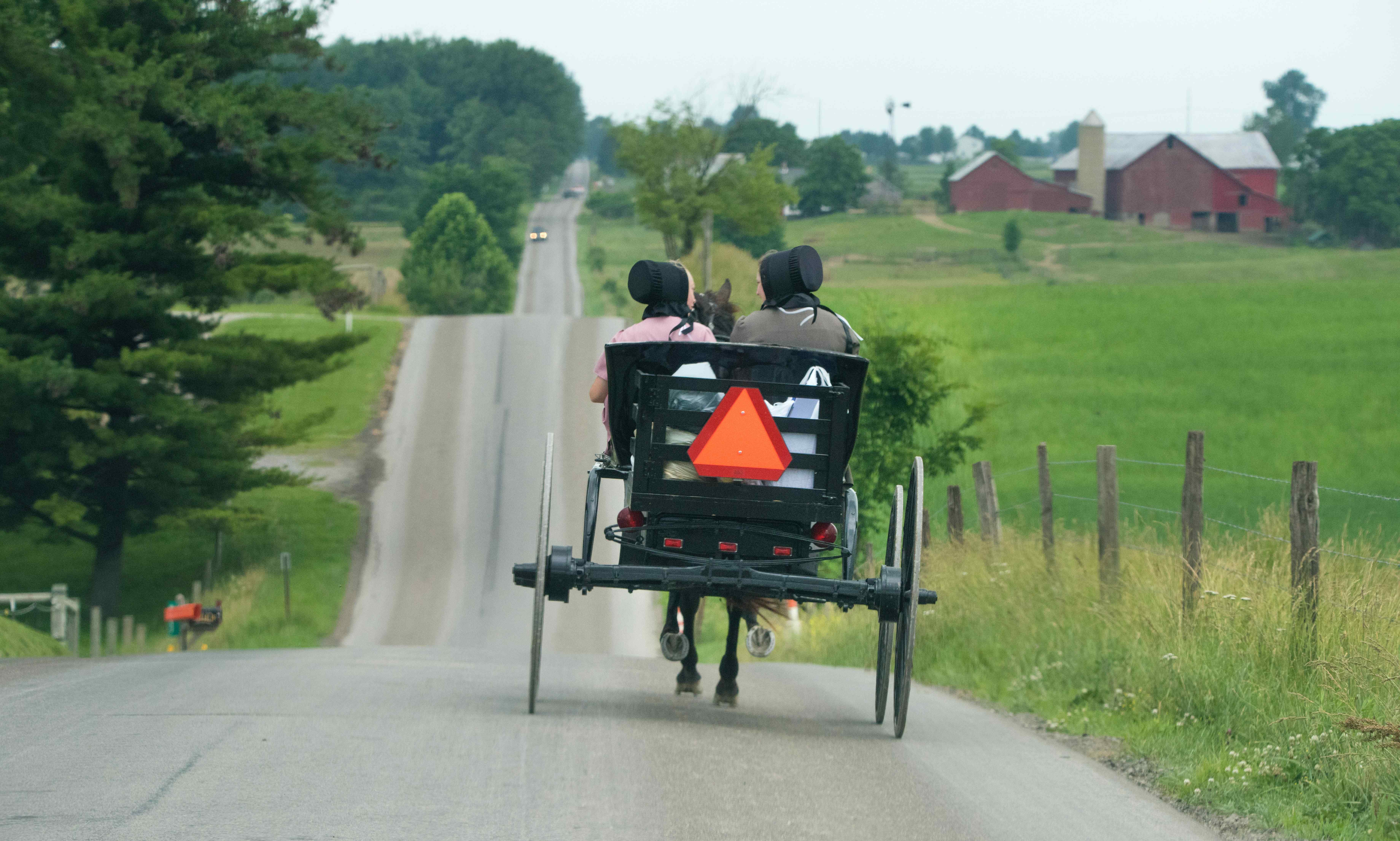 Do Amish Kids Get Autism? Are They Vaccinated?
