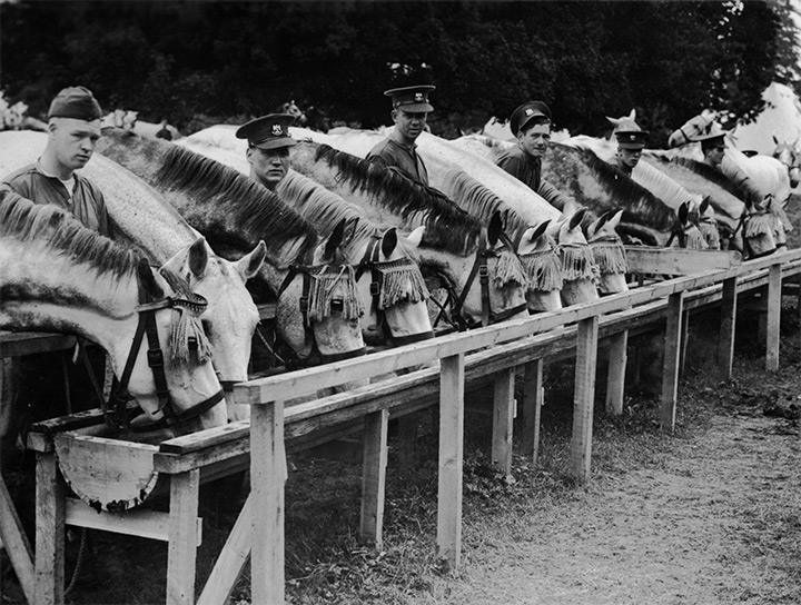 The Royal Scots Dragoon Guards