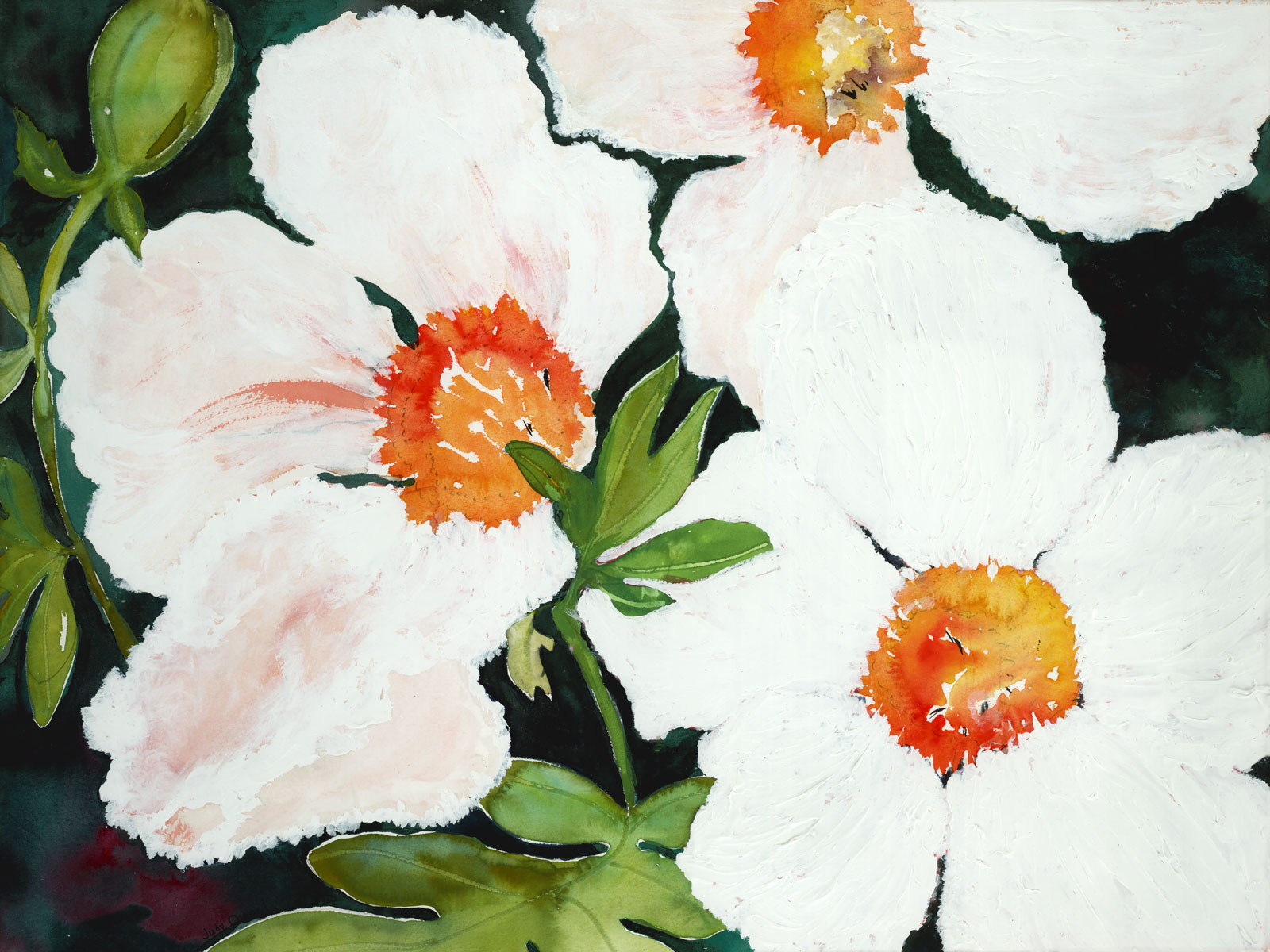 Judy Chapel's Instagram, Twitter & Facebook on IDCrawl