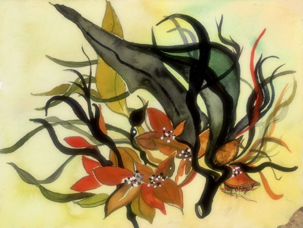 Judy Chapel's Instagram, Twitter & Facebook on IDCrawl