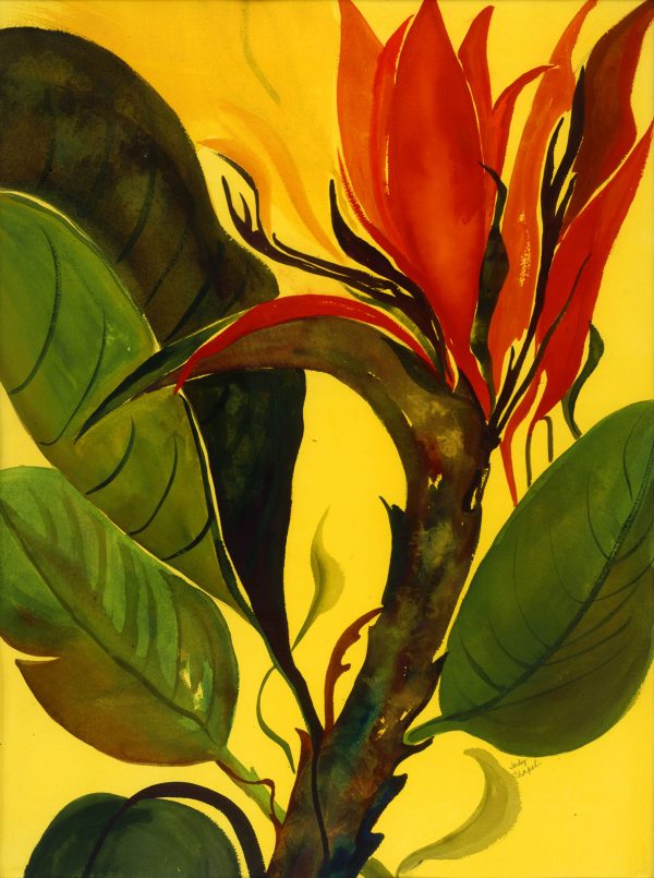 Judy Chapel's Instagram, Twitter & Facebook on IDCrawl