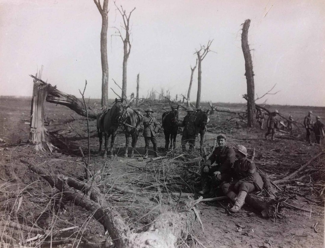 The Royal Scots Dragoon Guards