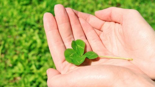 Virtual Hugs: The Ultimate Guide to Sending a Virtual Hug | Memento Blog