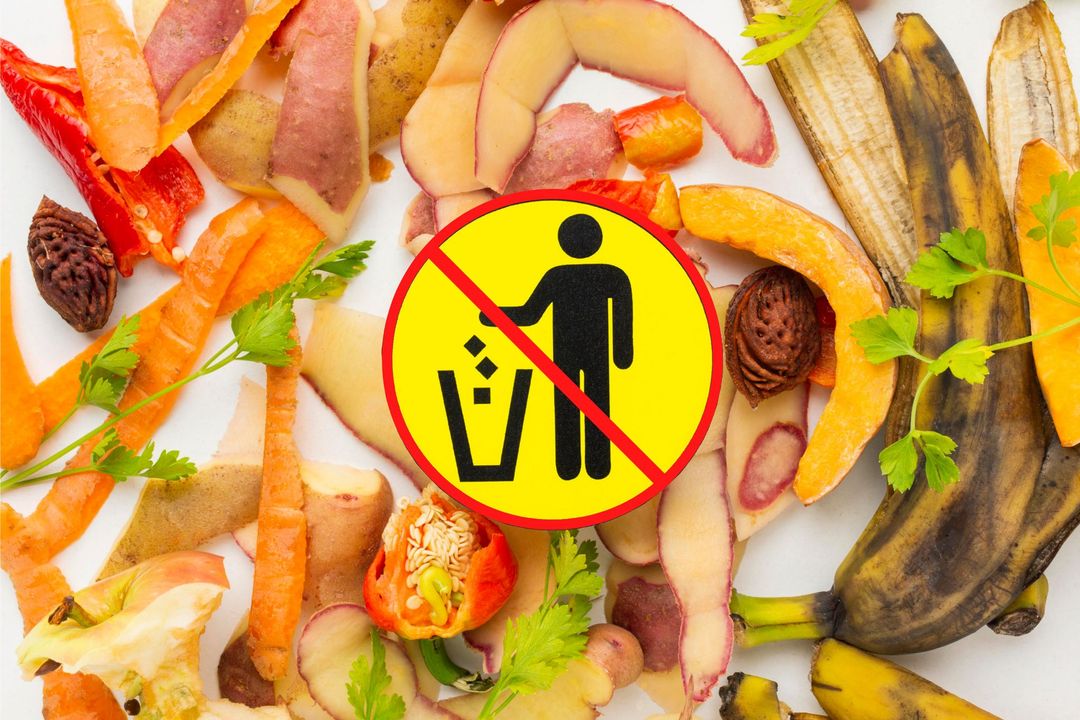 Why We Need to Separate Organic Waste, and What to Do with It | World ...