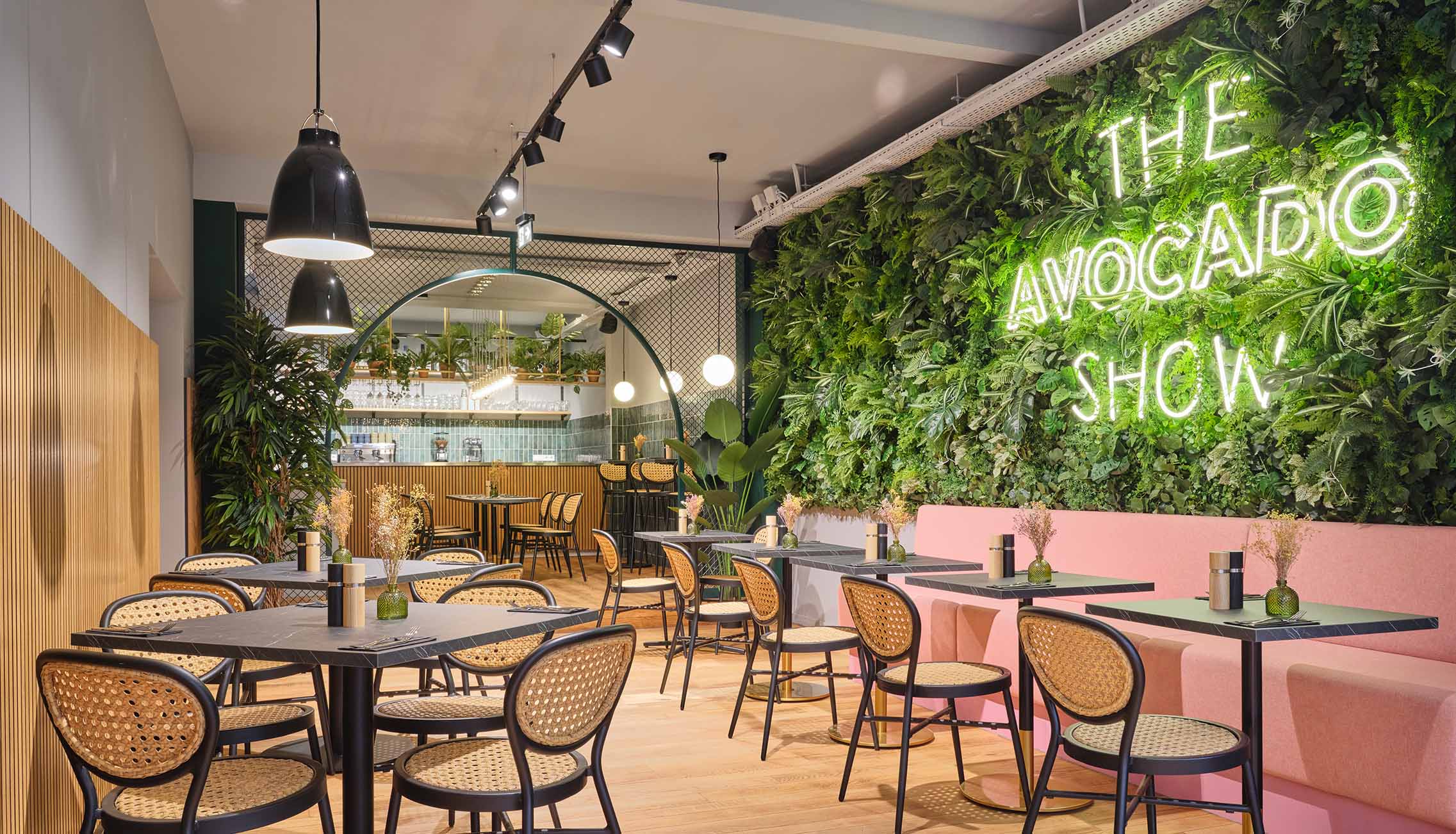 Home | The Avocado Show