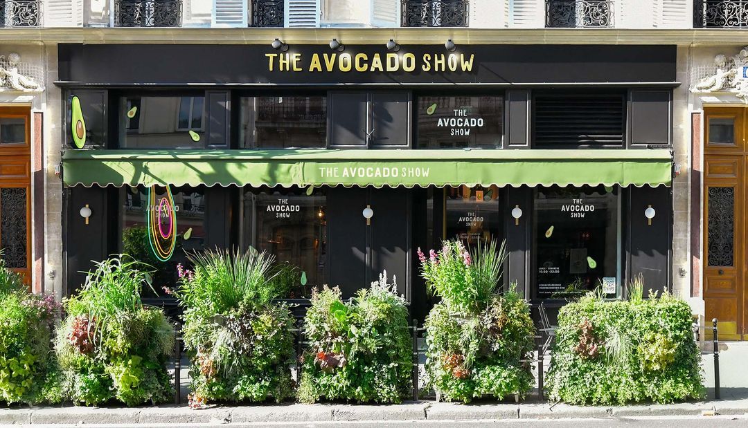 Home | The Avocado Show