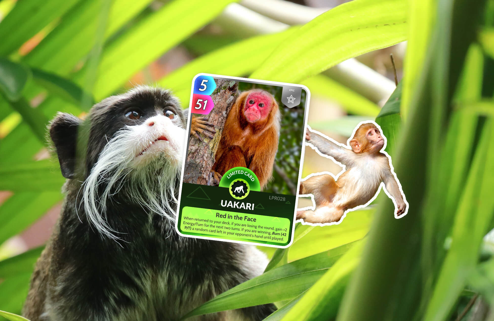 Primates Pack