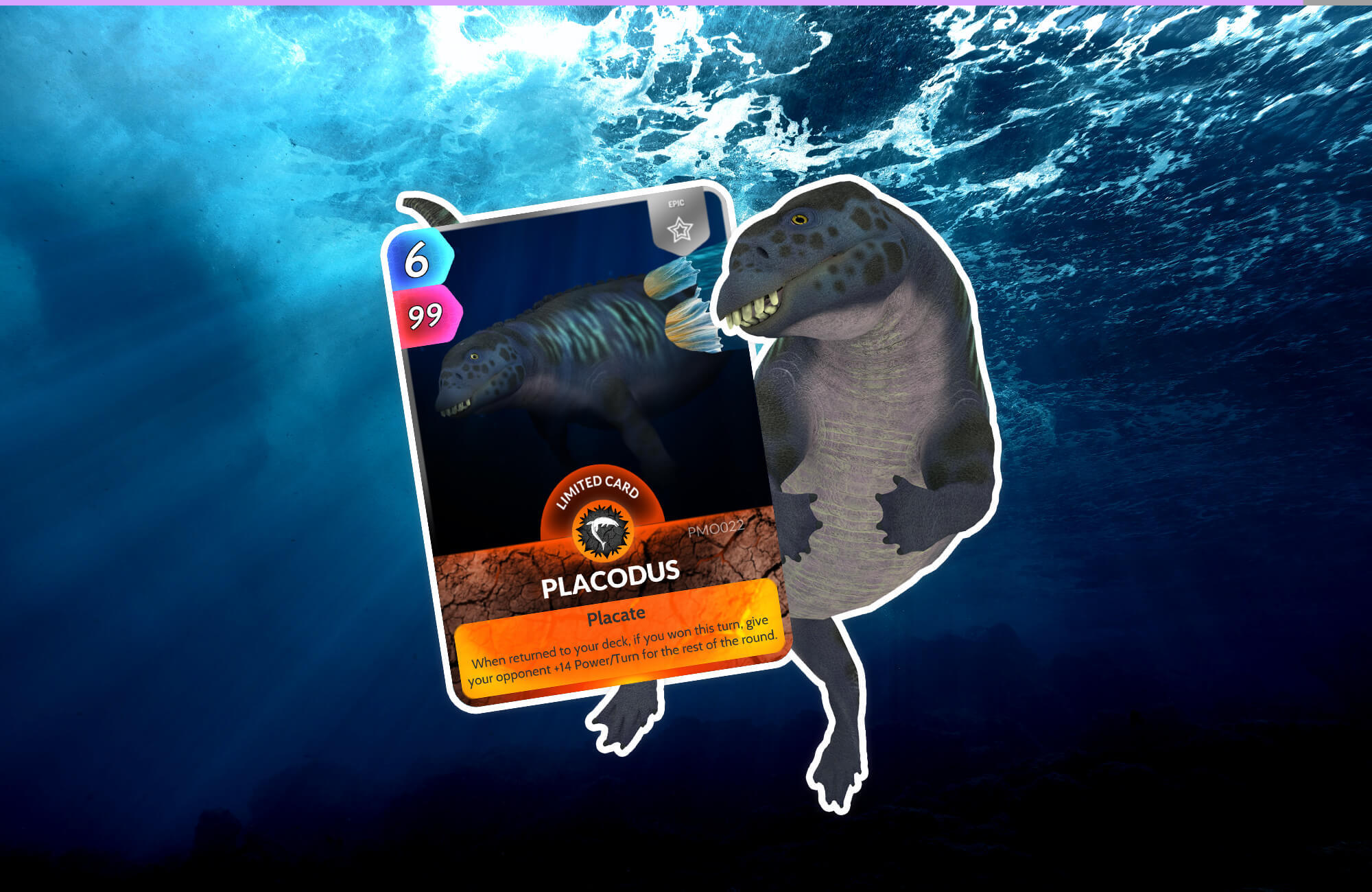Placodus