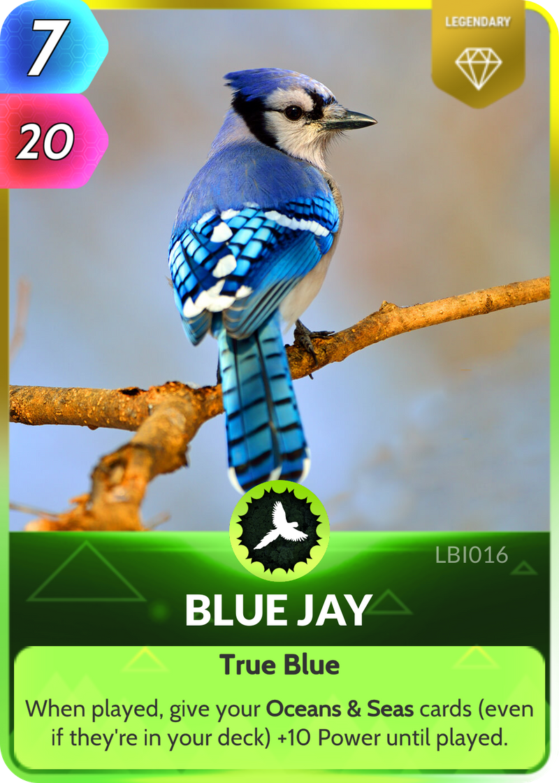 All Cards