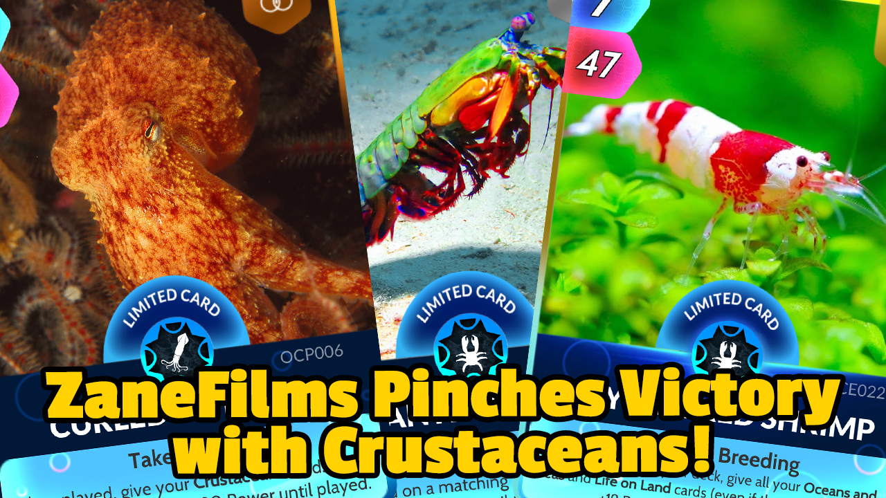 CRUSTACEAN DECK BUILD in CUE (Strategy TCG)