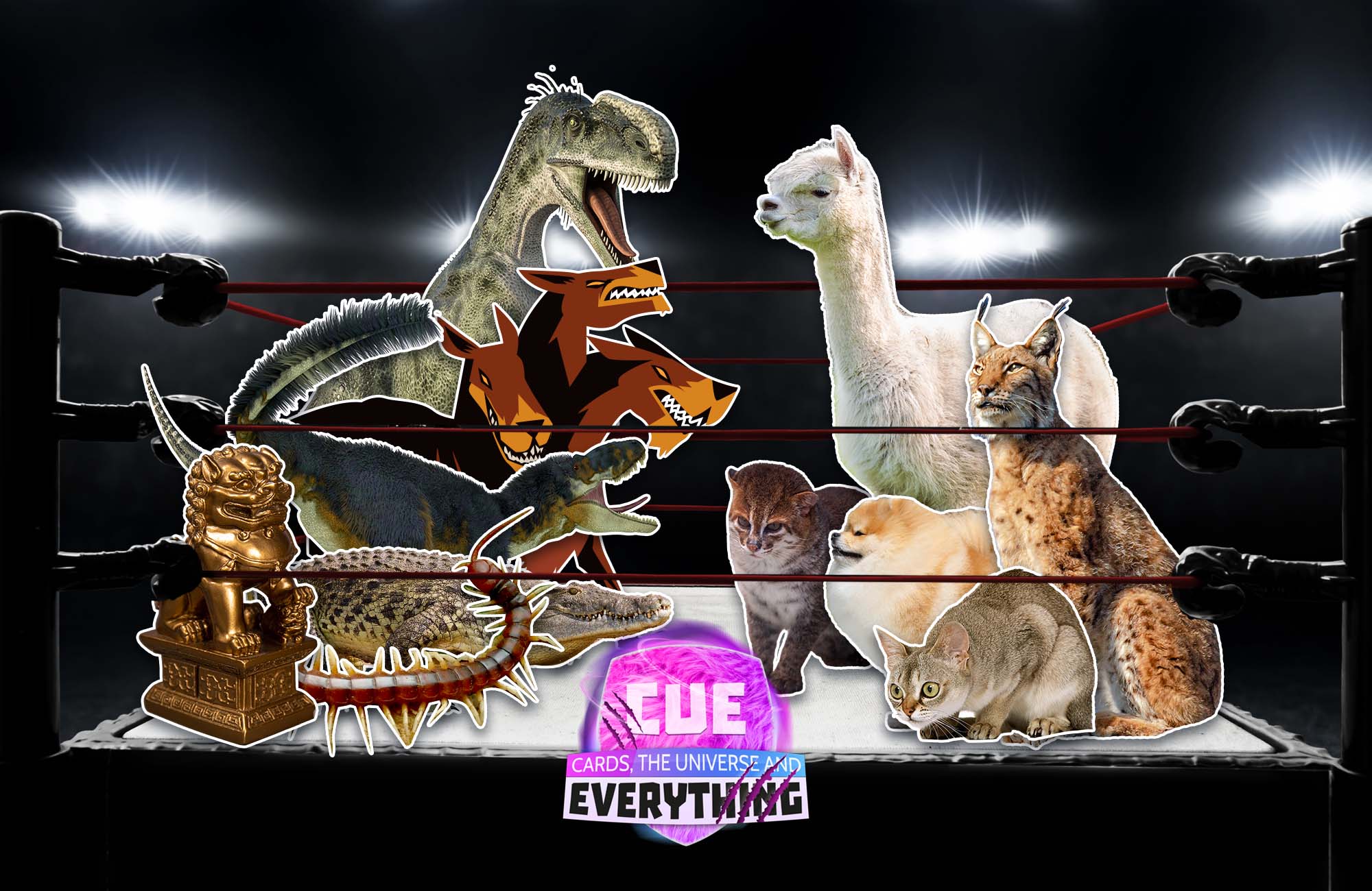 Fierce vs Fluffy Week!