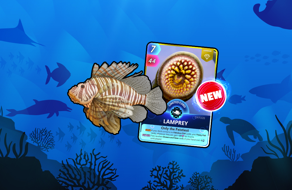 Plenty of Fish in the Sea