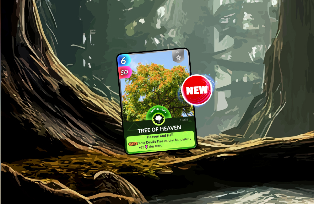 The Root of the Problem