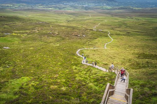 Explore the Heathland & Moorland Biome