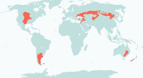 Explore the Temperate Grasslands Biome