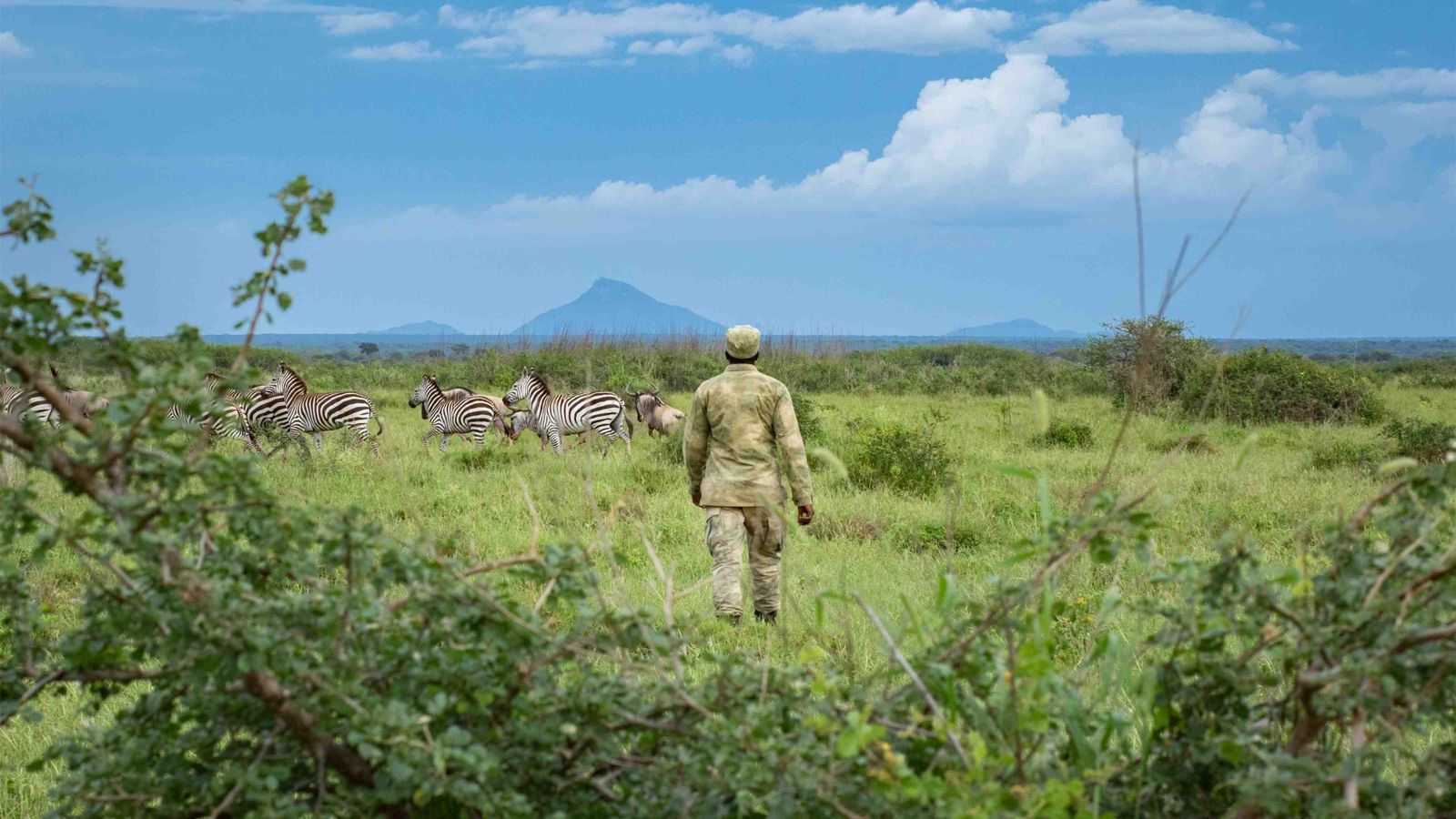Where We Work - African People & Wildlife