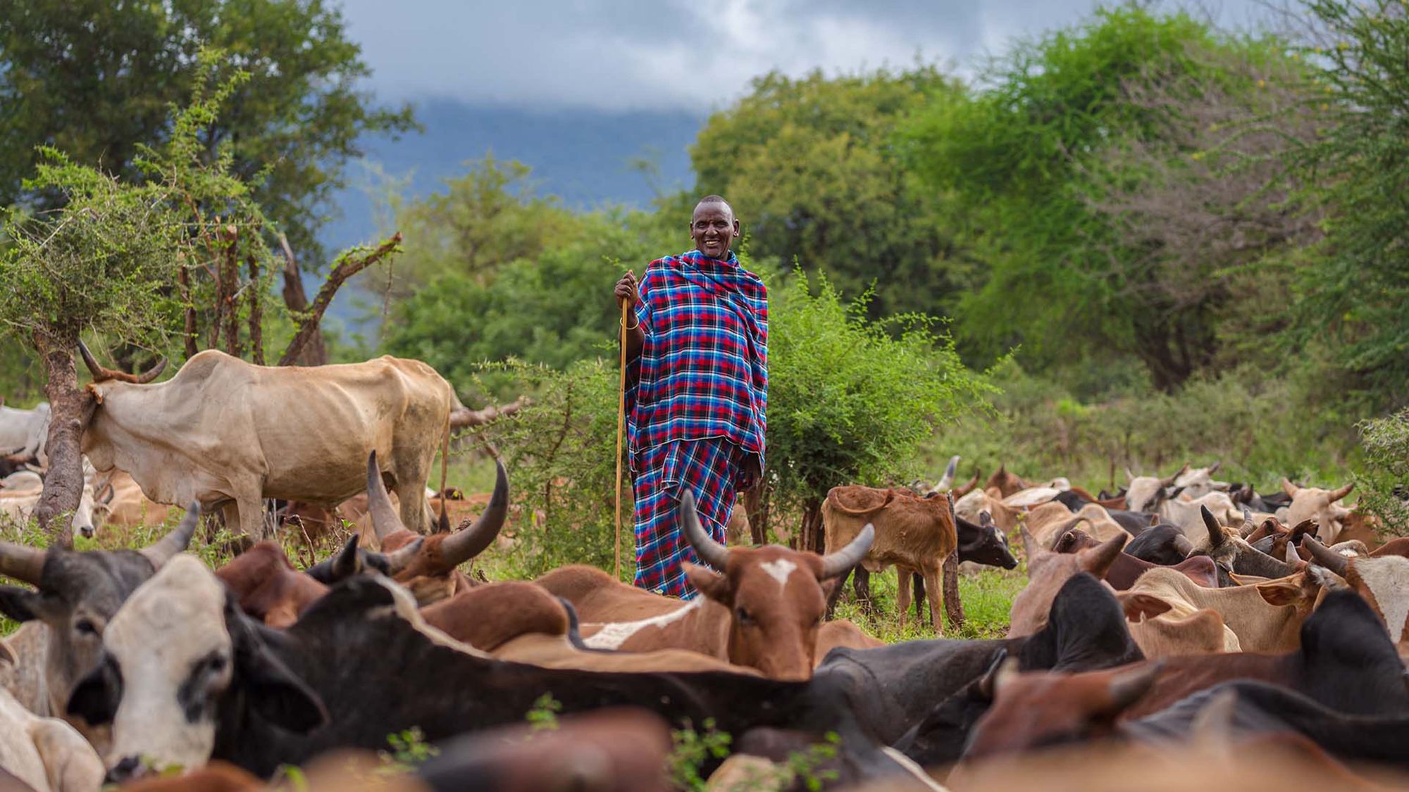 Tarangire-Manyara Landscape