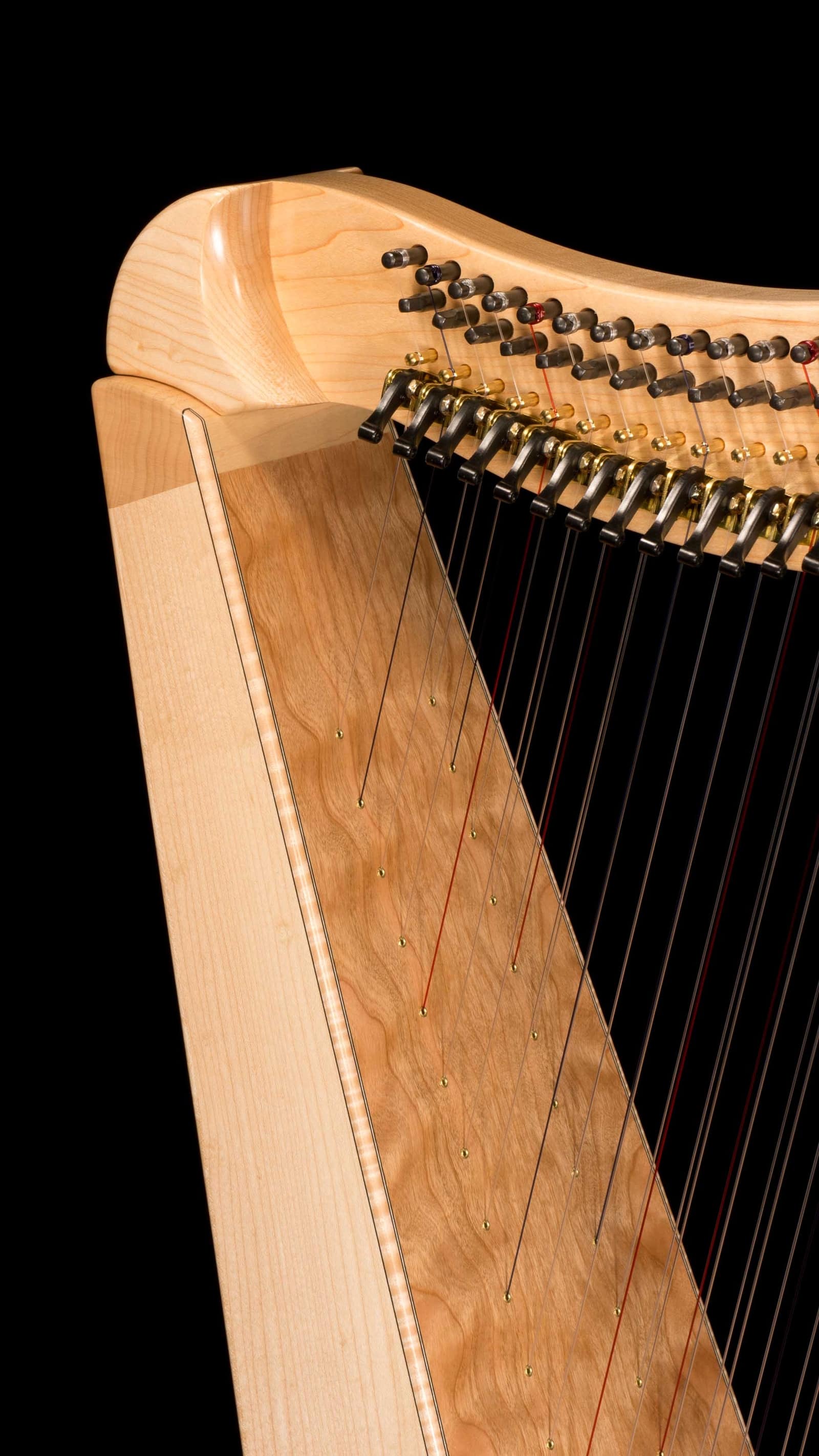 FH26 Double-Strung Lever Harp | Dusty Strings
