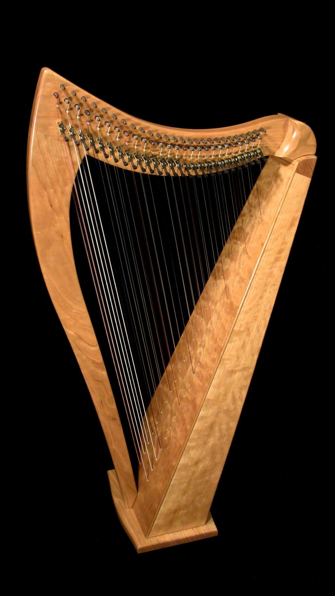 FH26 Double-Strung Lever Harp | Dusty Strings
