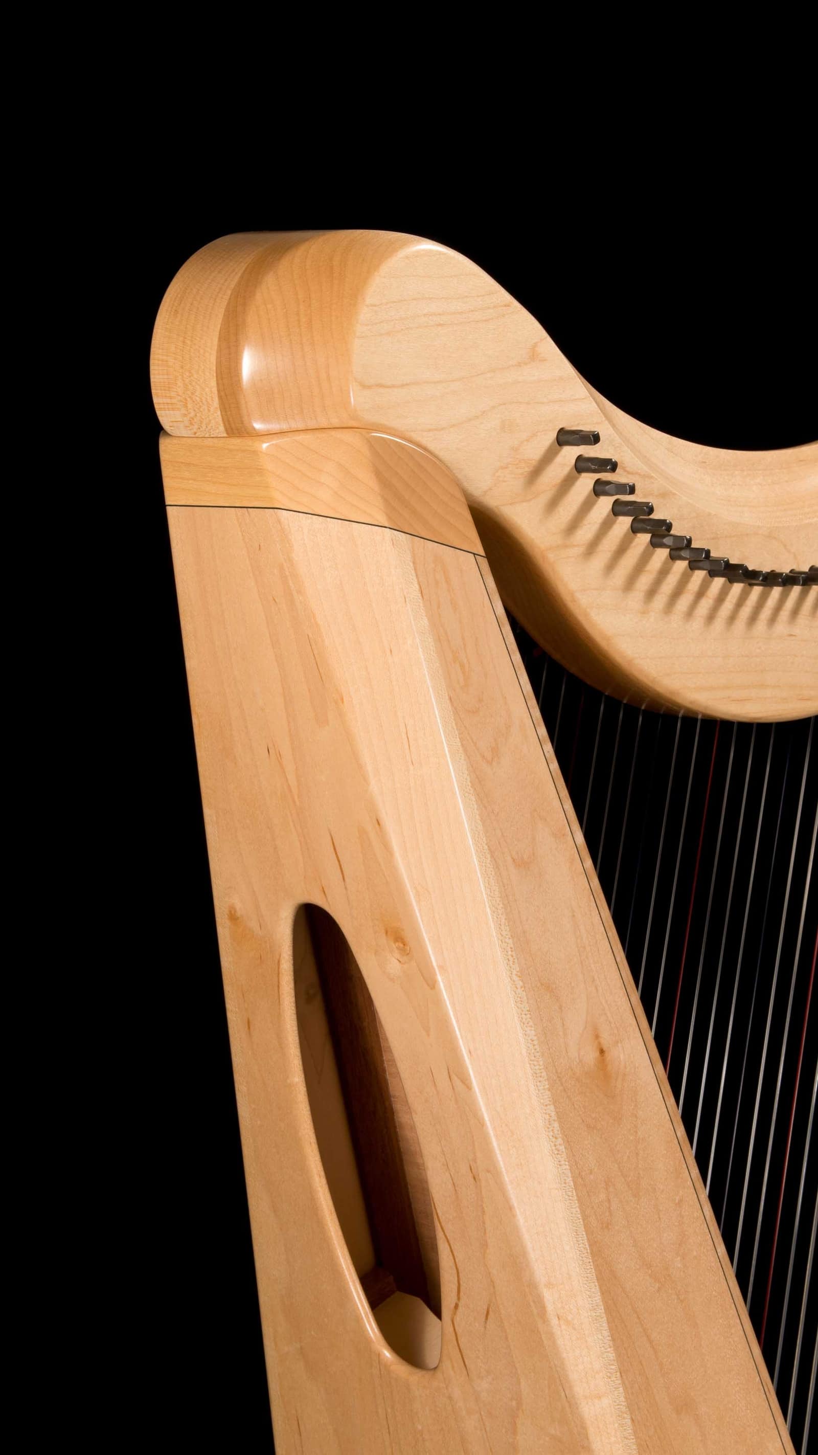 FH36H Lever Harp | Dusty Strings