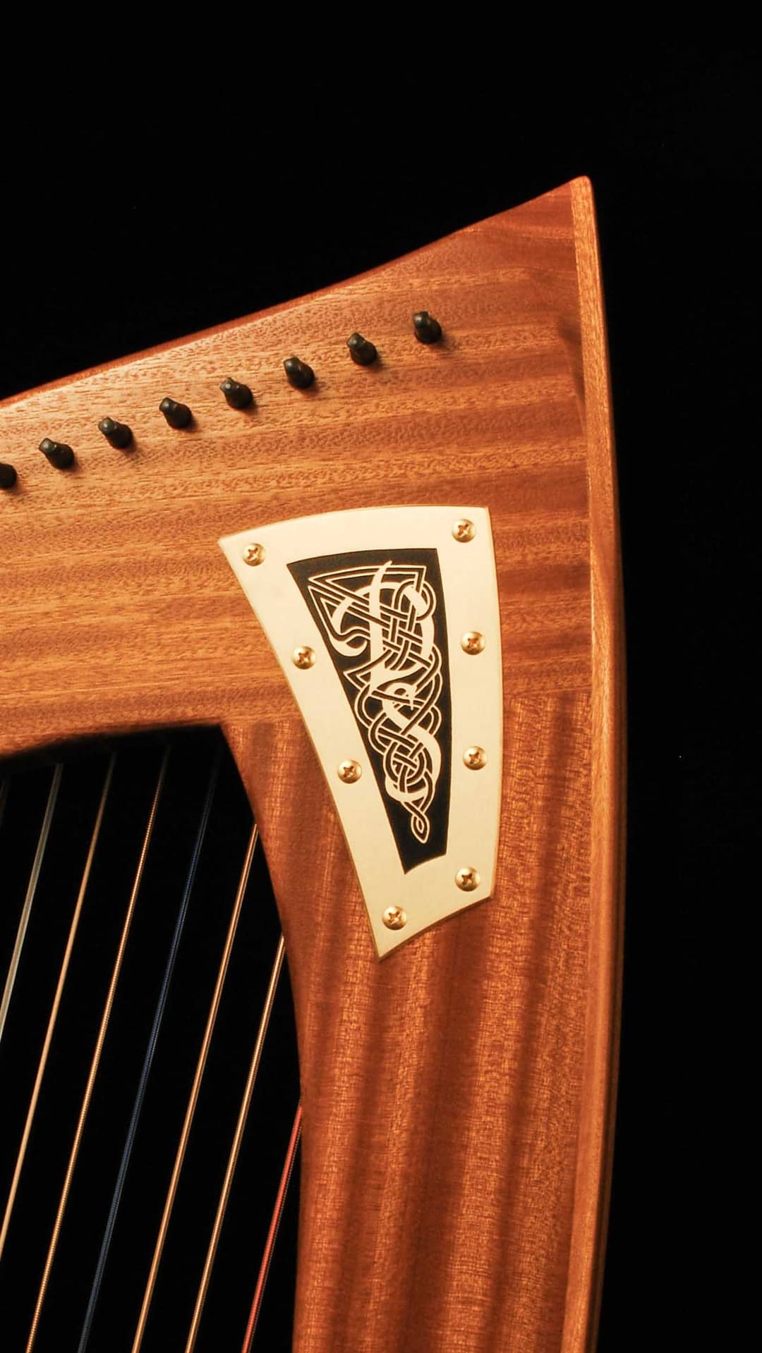 FH36S Lever Harp | Dusty Strings