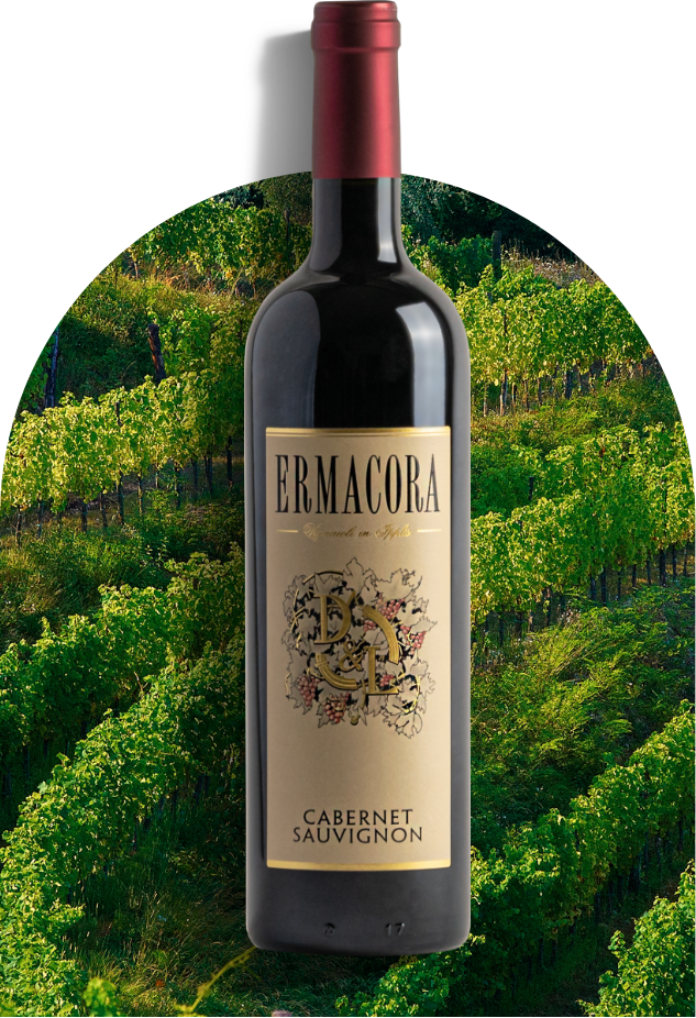 Cabernet Sauvignon - Vini Ermacora - Shop