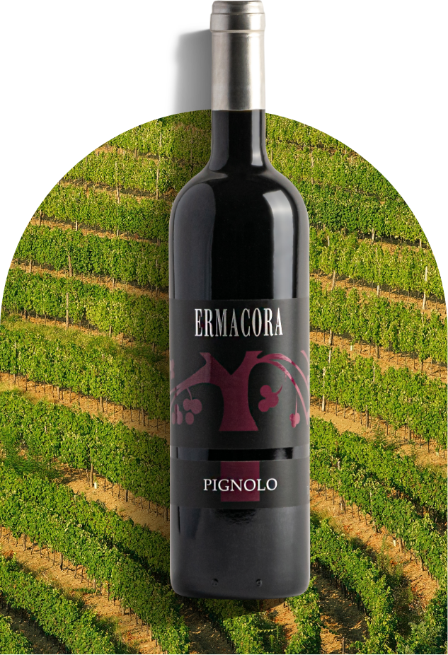 Pignolo - Vini Ermacora - Shop