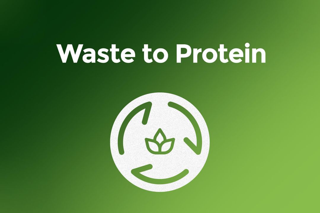 Future of Protein Production