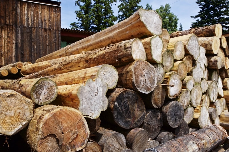 News Releases | Forest Products Association of Canada
