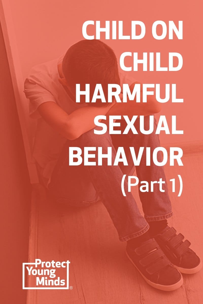 Child on Child Harmful Sexual Behavior Part 1: A 3-Step Path to Prepare ...
