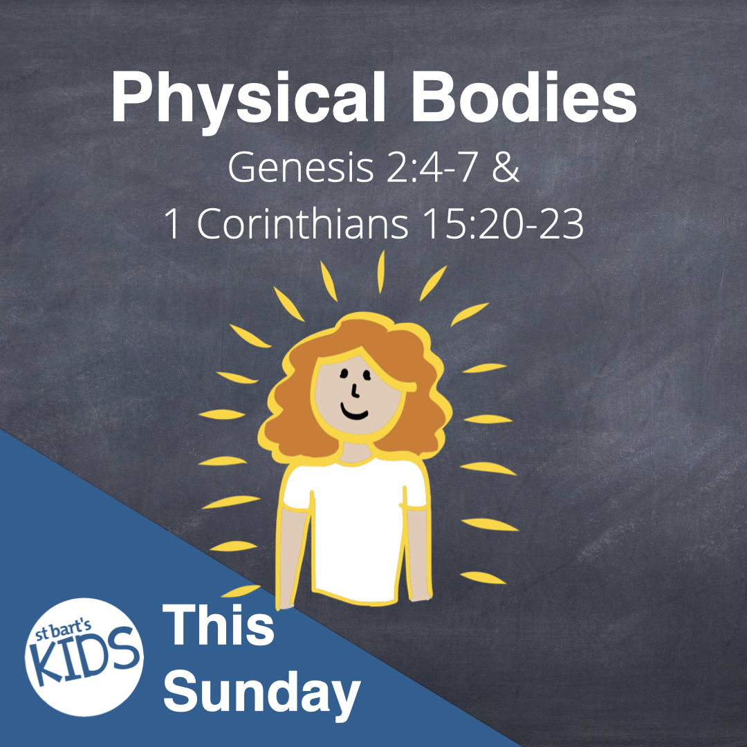 St Bart's Kids Resource: Being Human: Physical Bodies| Genesis 1-2:3