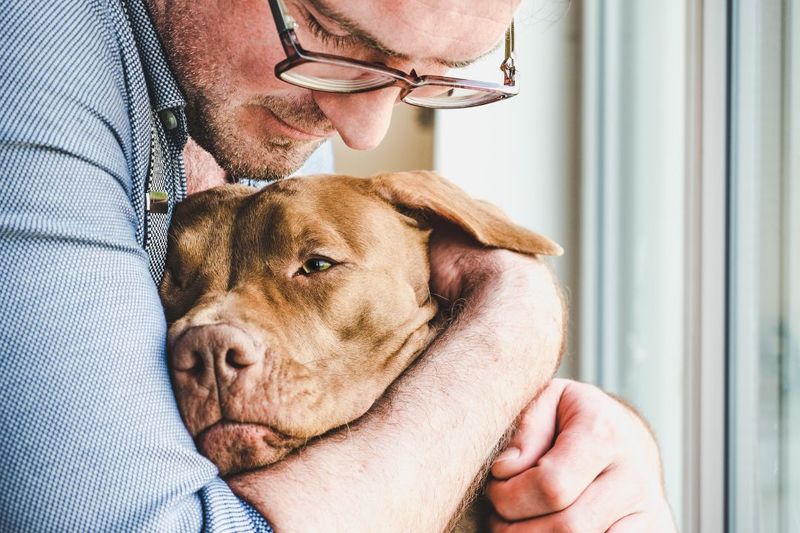 Training a Psychiatric Service Dog: A Complete Guide | Pettable – ESA ...