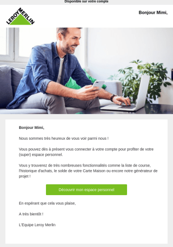 Leroy Merlin - Home Ecommerce Marketing Strategy