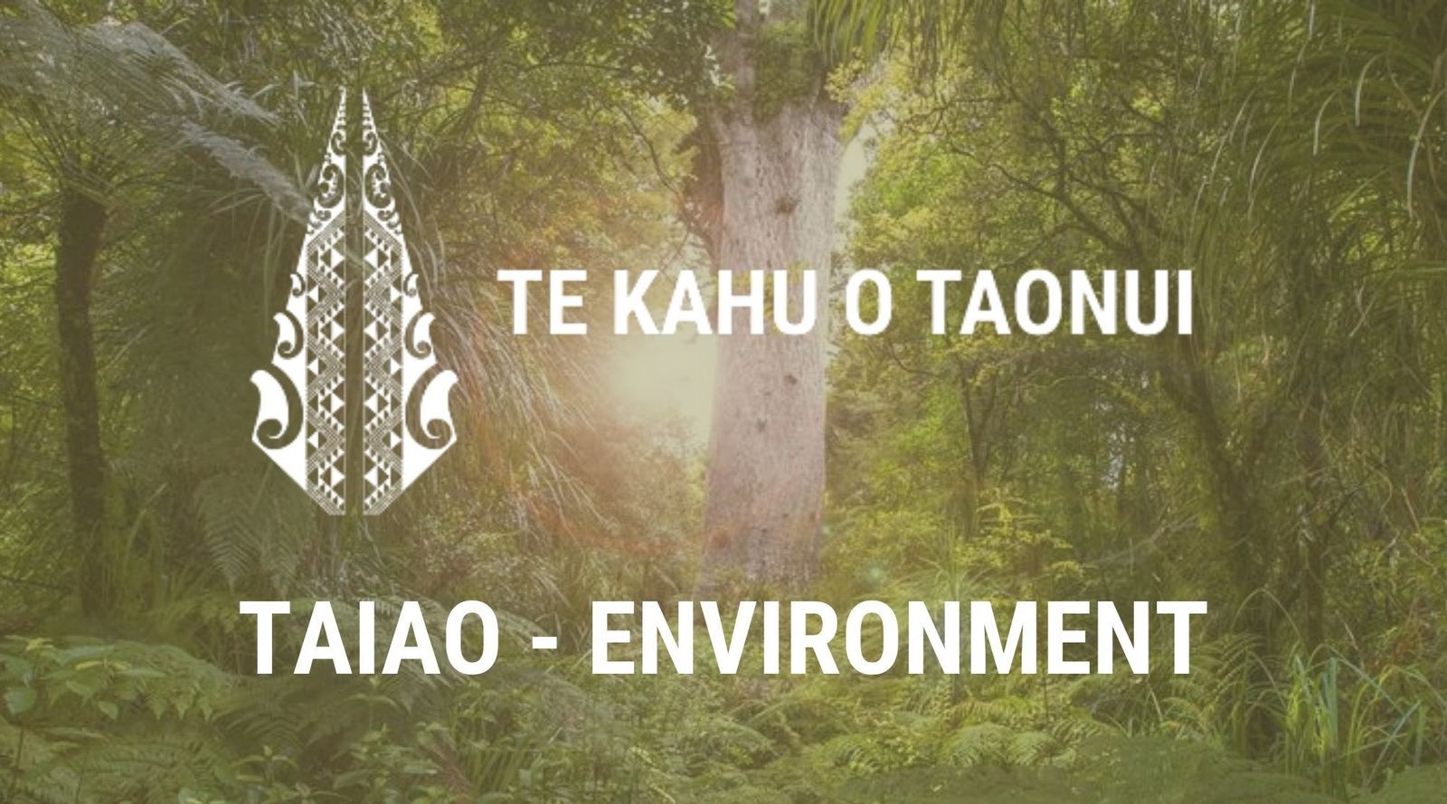 Home | Te Kahu o Taonui