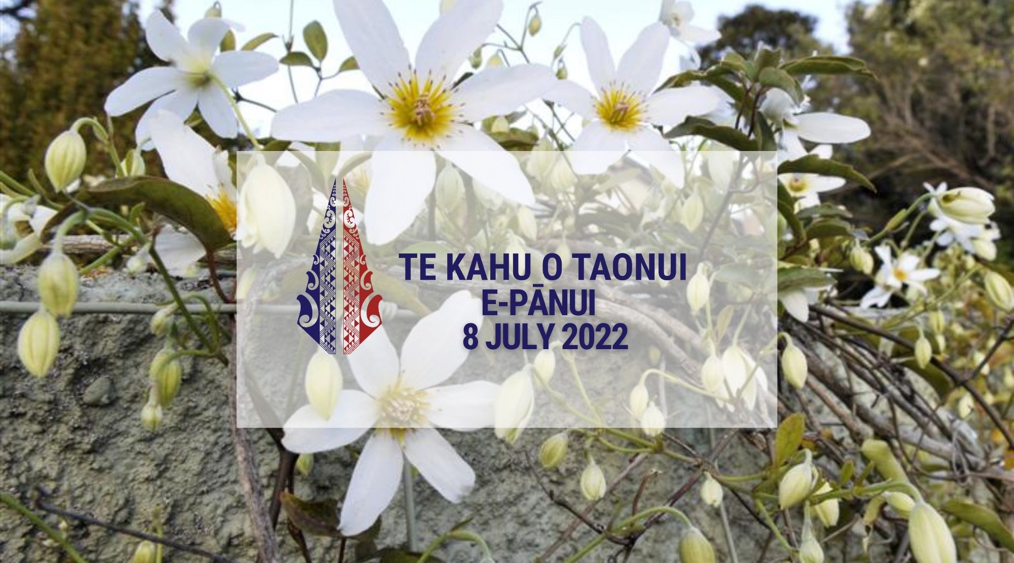 Home | Te Kahu o Taonui