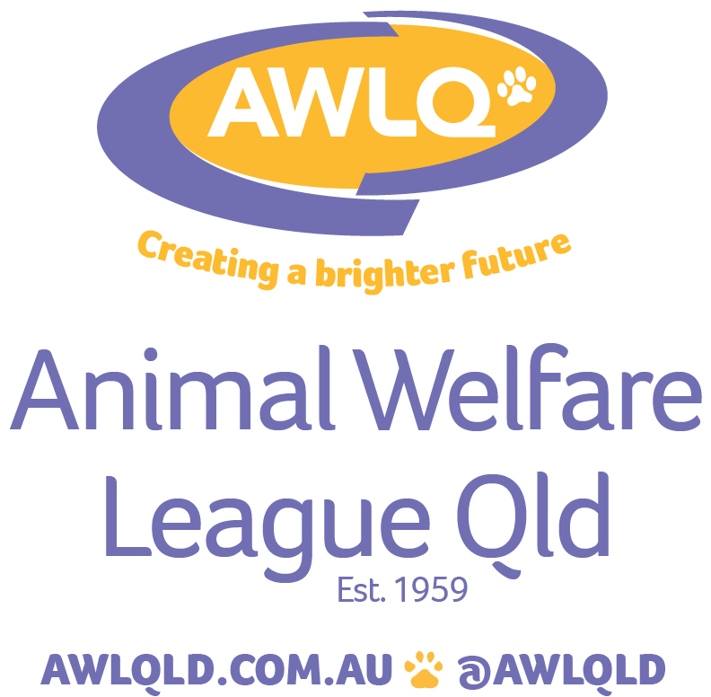 Your All-In-One Social Impact Platform | Little Phil