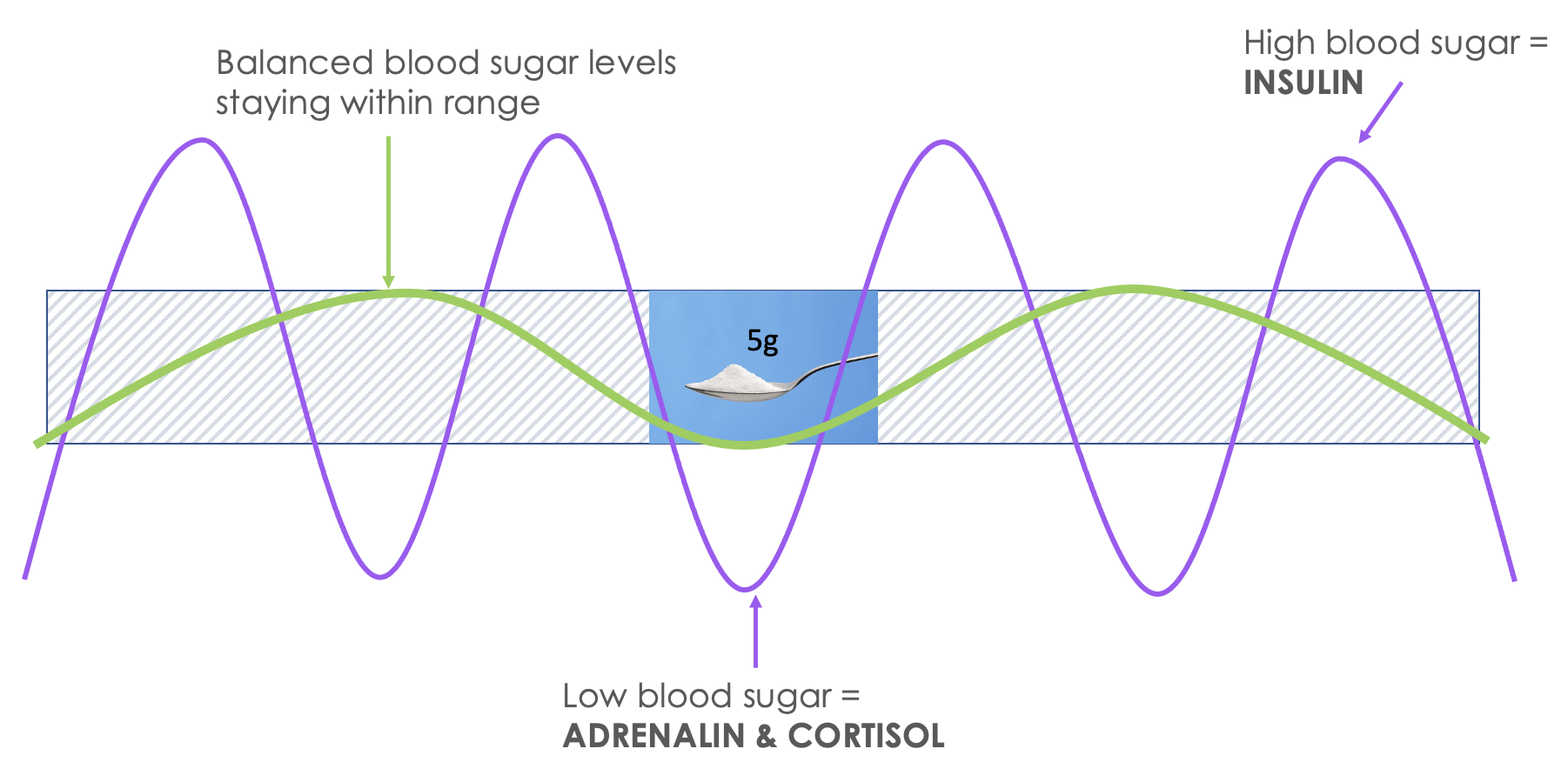 Blood Glucose: Control Your Weight And Energy Levels