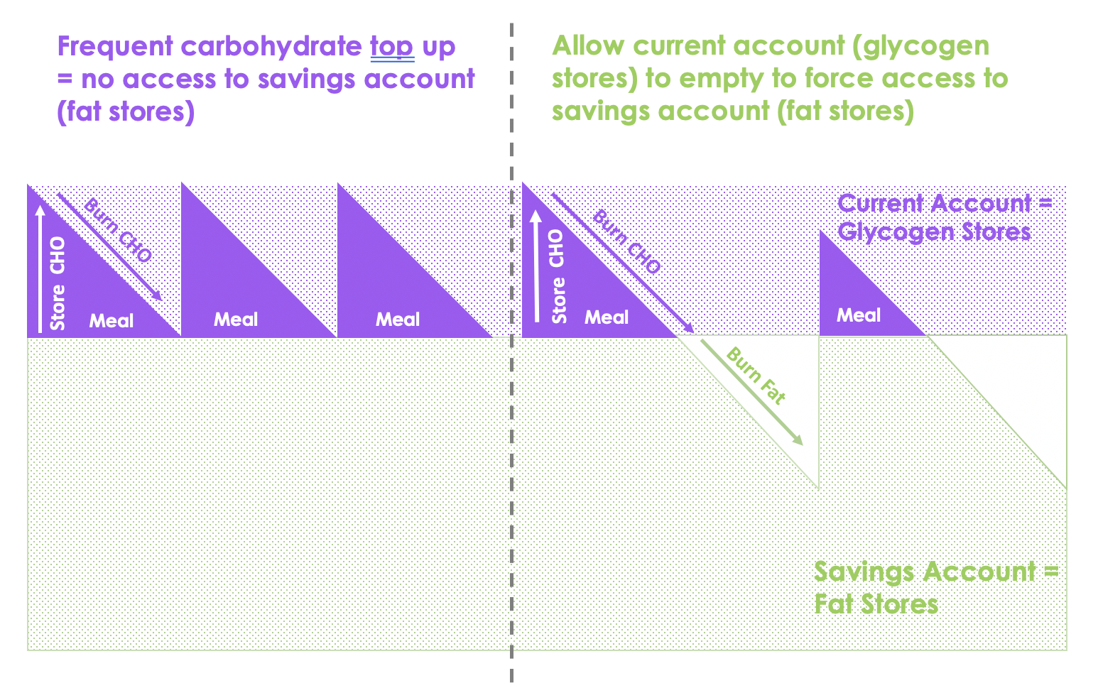 Blood Glucose: Control Your Weight And Energy Levels