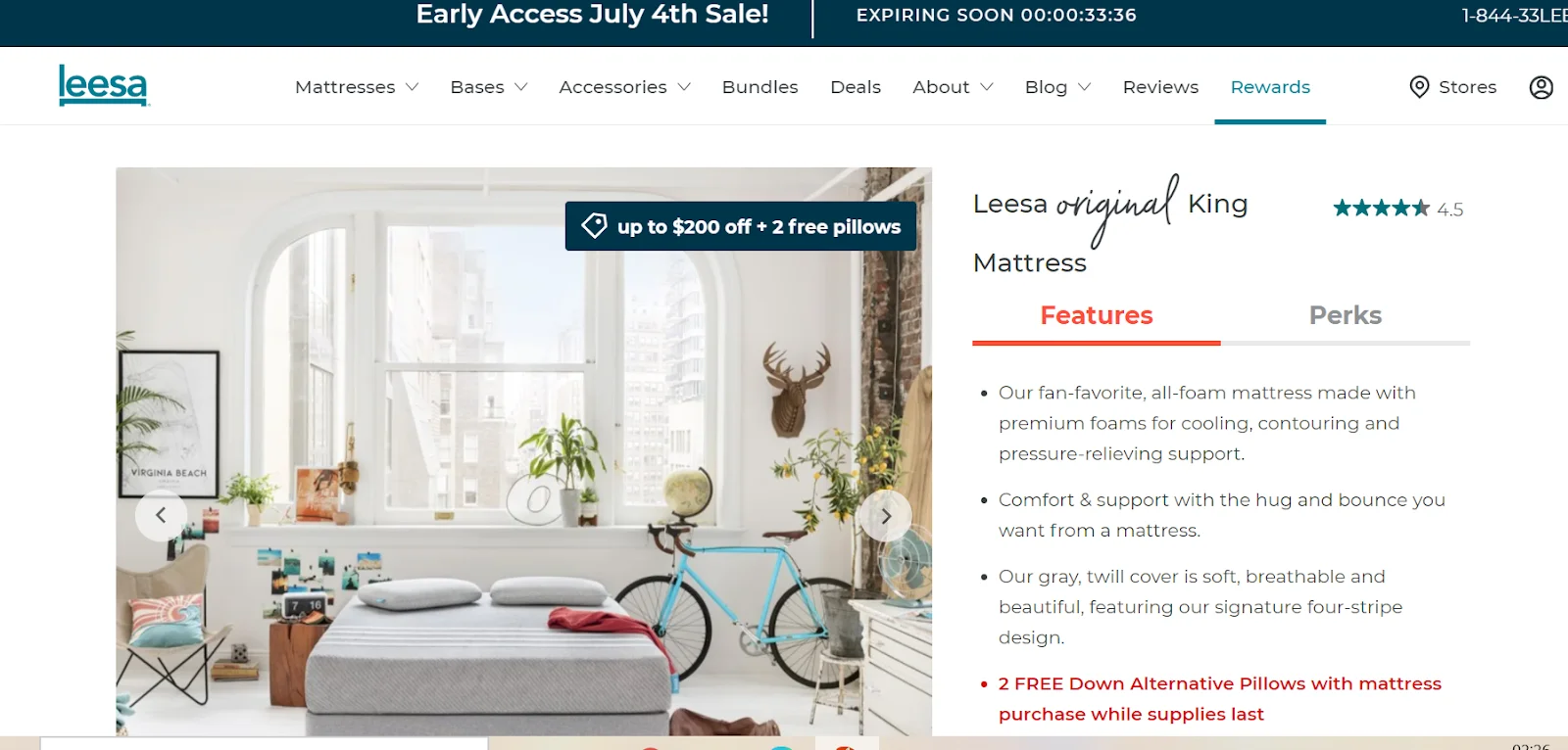 Write & Design E-Commerce Product Pages-Guide With Examples