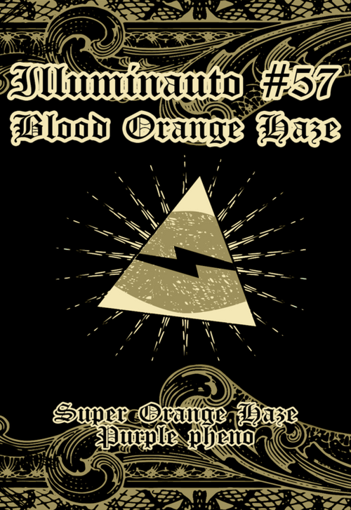 Home [www.mephistogenetics.com]