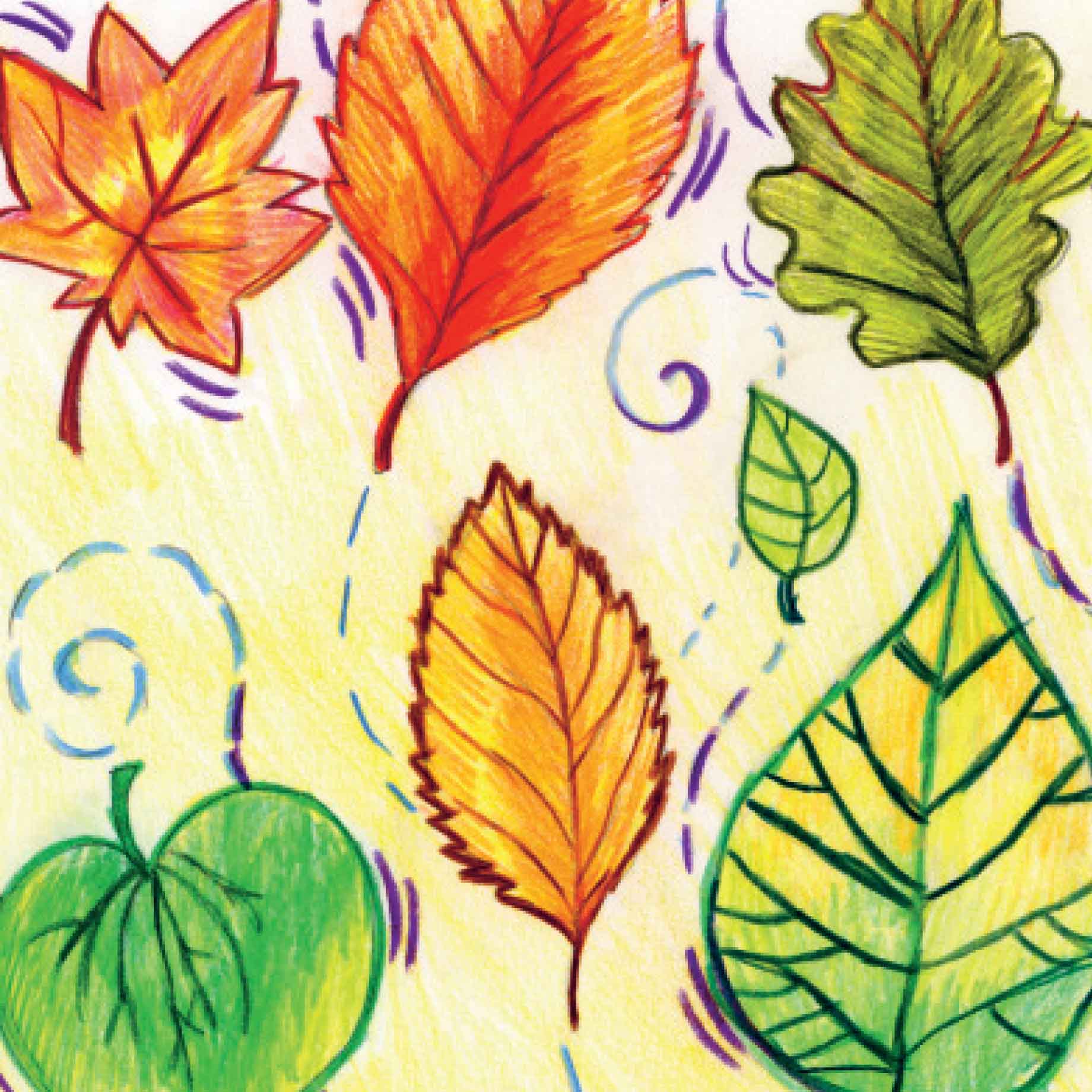 Leaves Dance - Toitoi