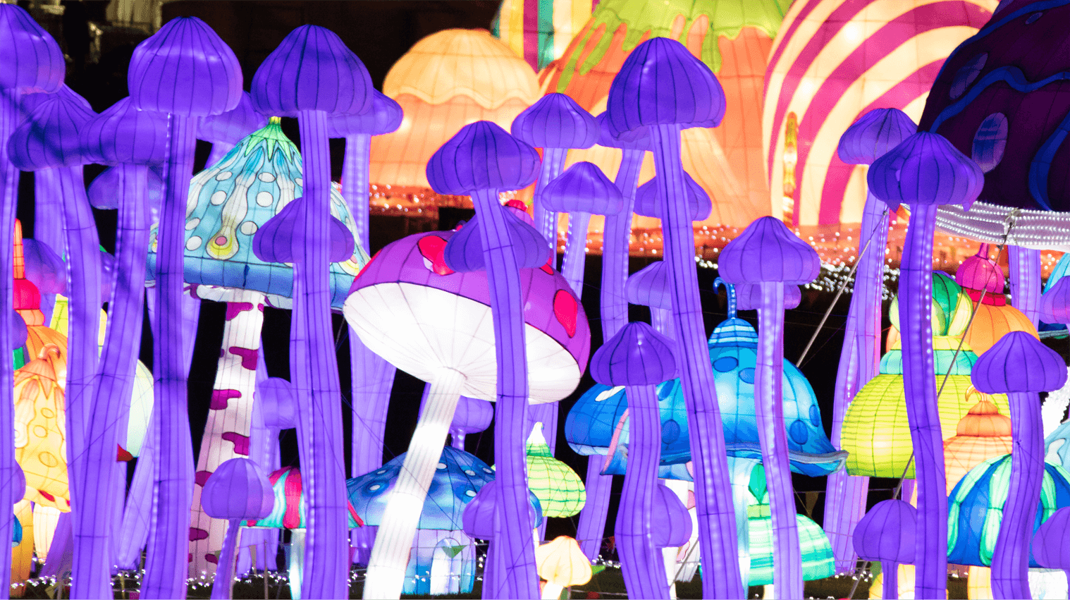 LuminoCity Festival - A Must See Holiday Experience