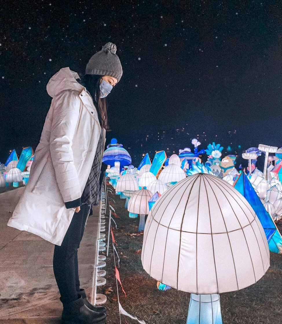 LuminoCity Festival - A Must See Holiday Experience
