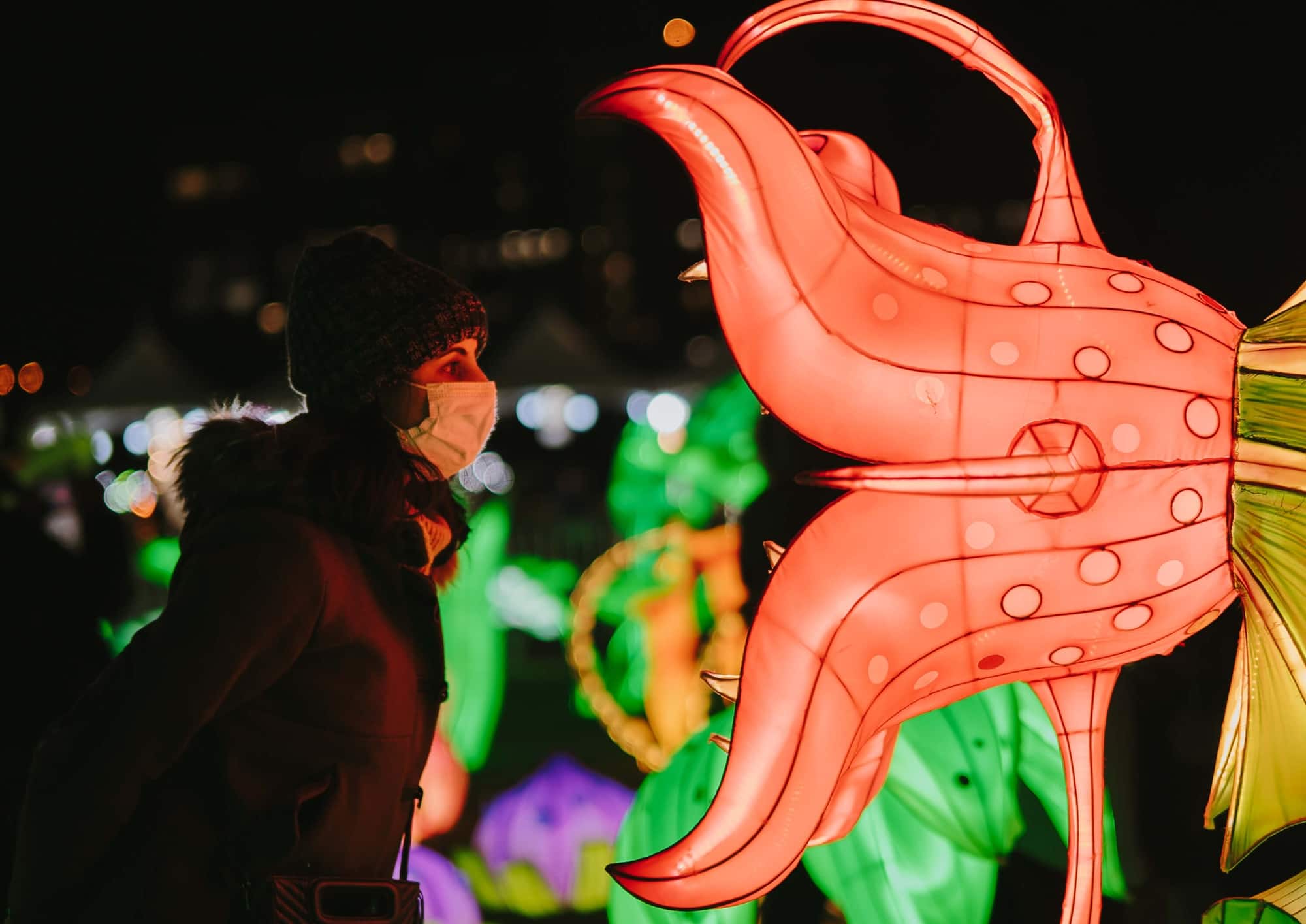 LuminoCity Festival - A Must See Holiday Experience