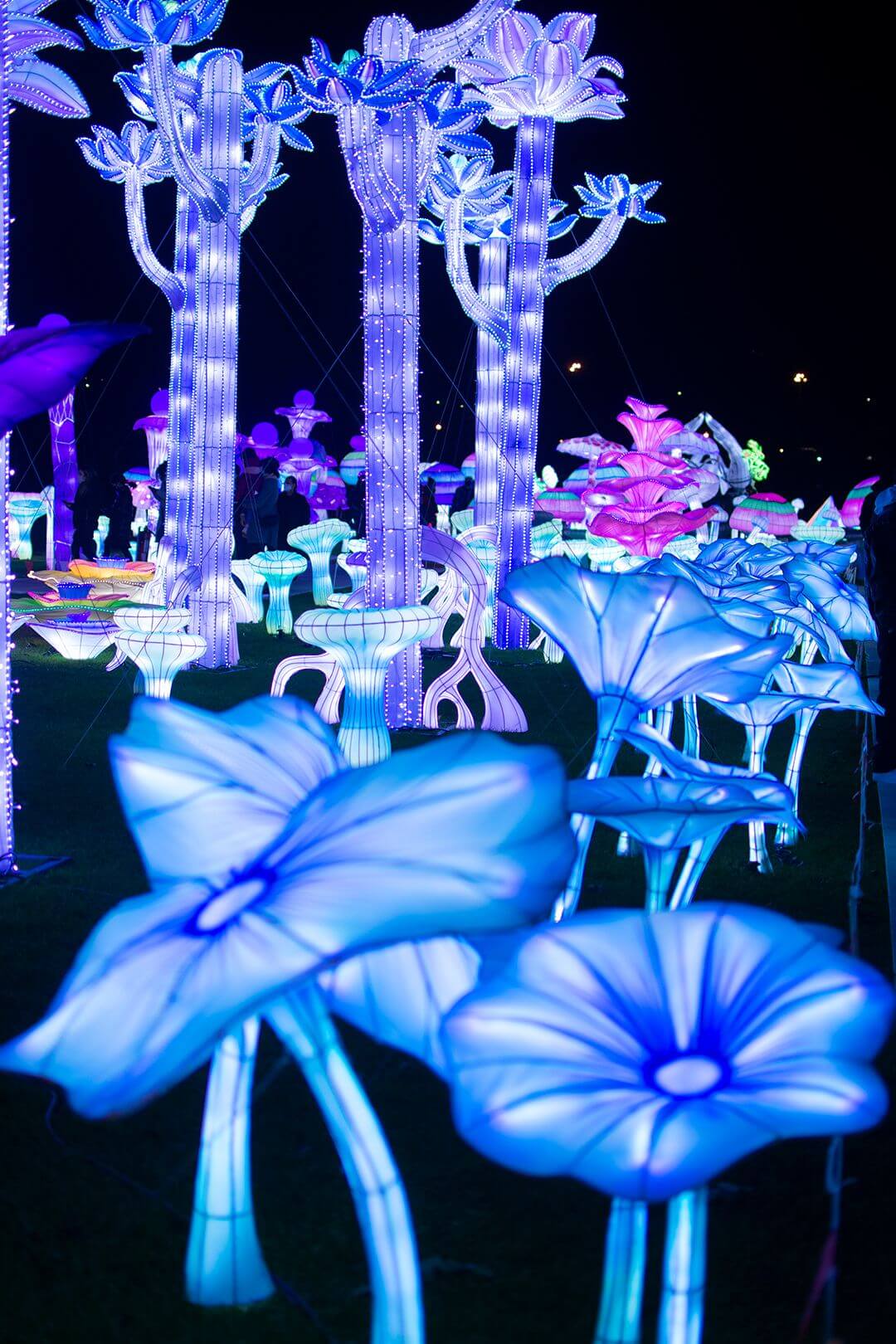 LuminoCity Festival - A Must See Holiday Experience