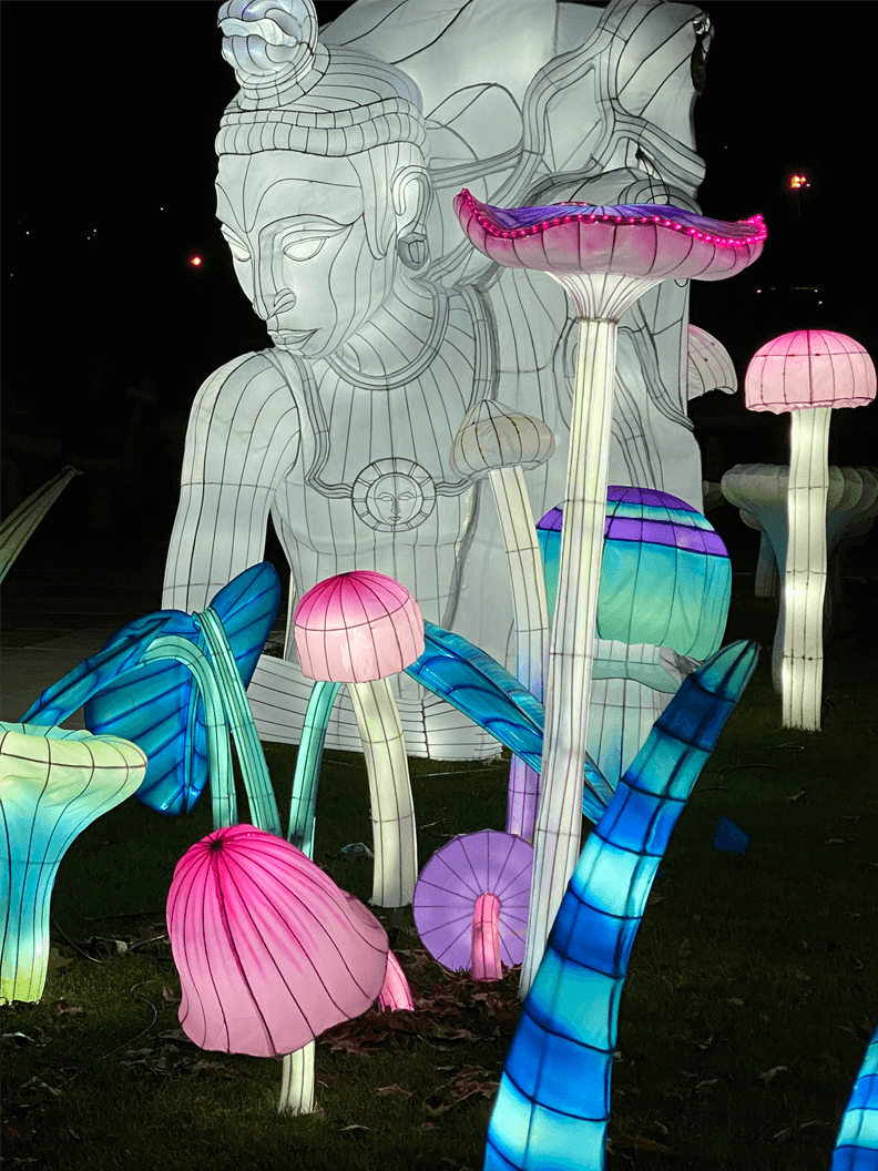 LuminoCity Festival - A Must See Holiday Experience