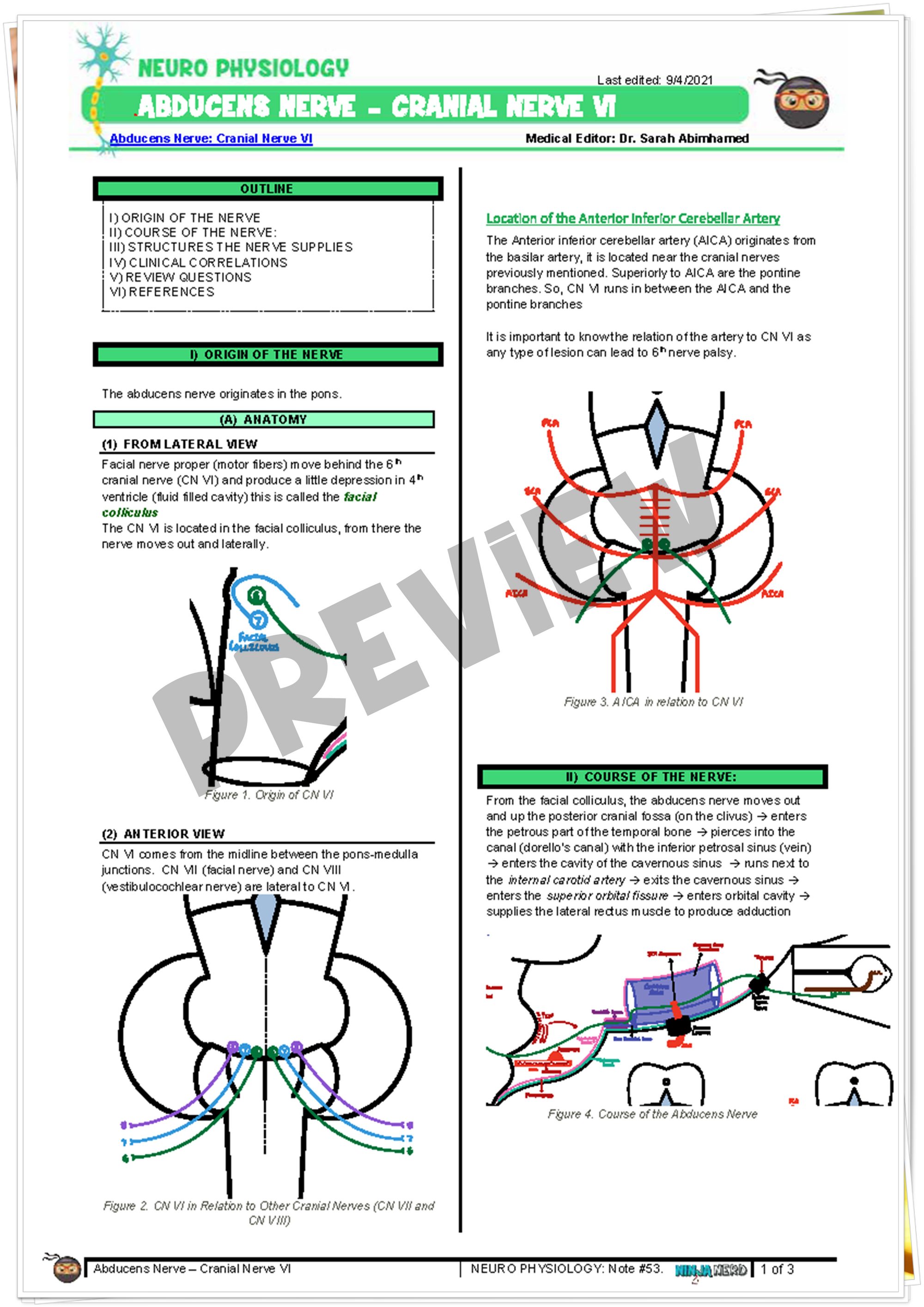 Abducens Nerve: Cranial Nerve VI - Notes - NinjaNerd Medicine