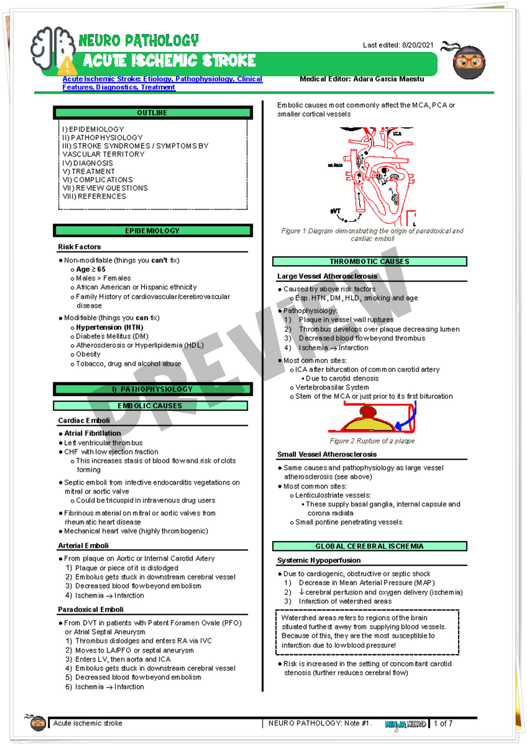Acute Ischemic Stroke: Etiology, Pathophysiology, Clinical Features ...