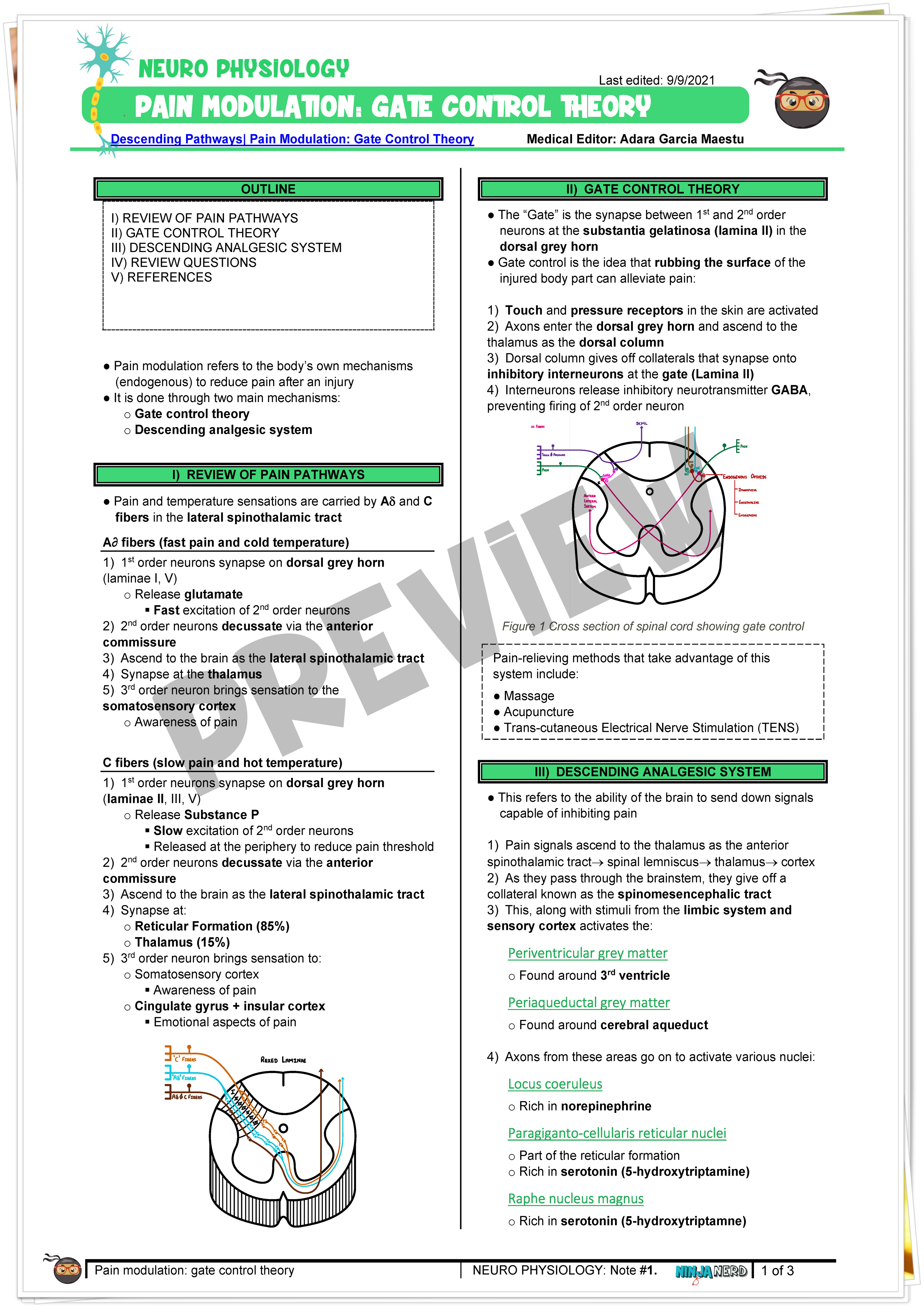 Ascending Tracts | Pain Modulation: Gate Control Theory - Notes ...